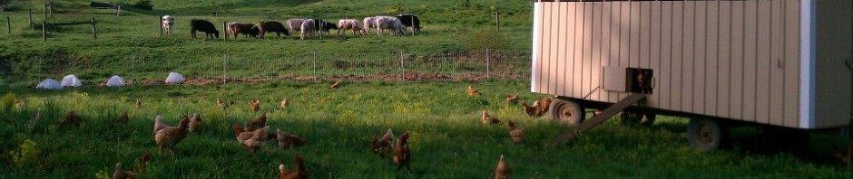 cropped-cover.jpg - Deep Roots Valley Farm